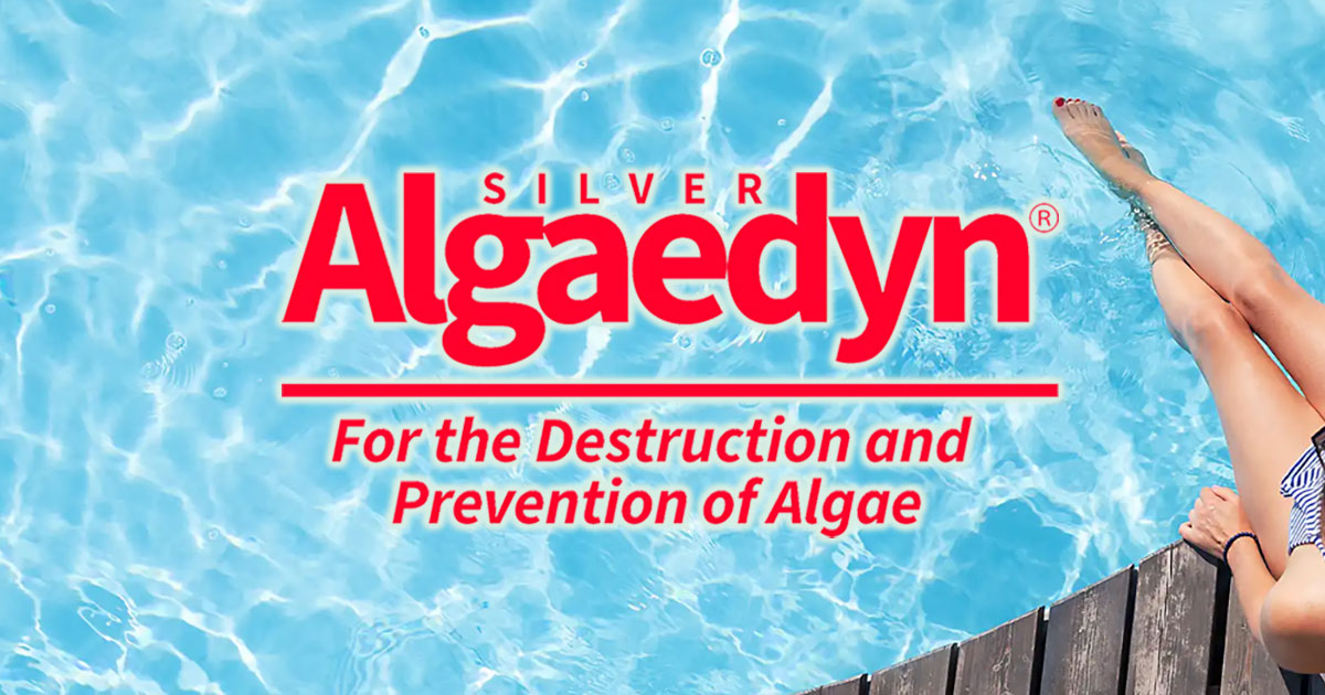 Silver Algaedyn